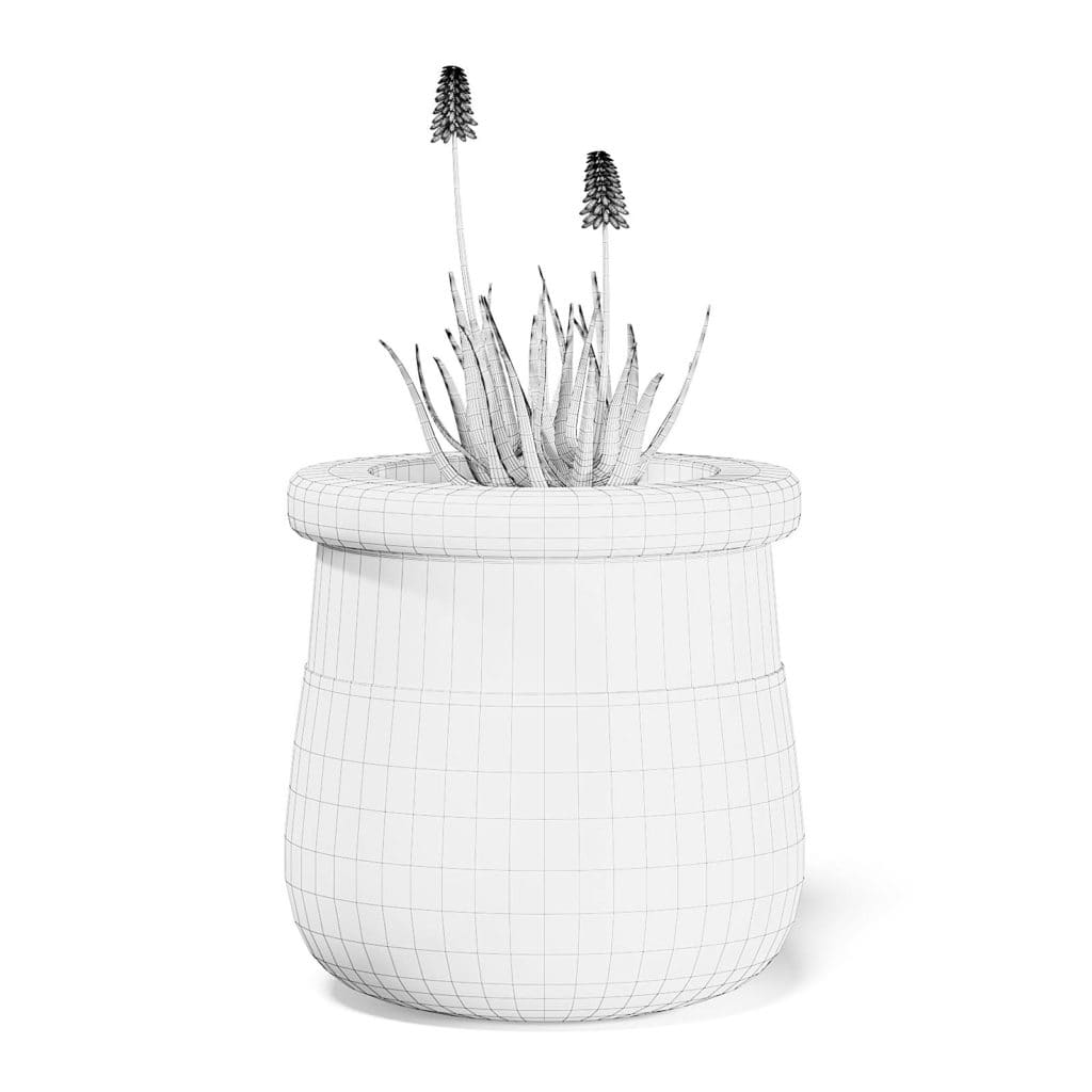 Flowers 3D Model in Large Modern Pot