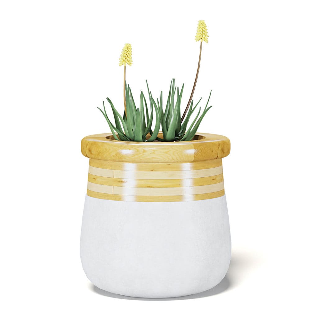 Flowers 3D Model in Large Modern Pot