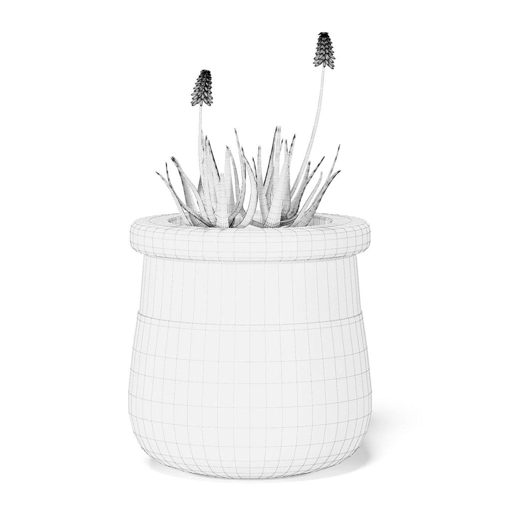 Flowers 3D Model in Large Modern Pot