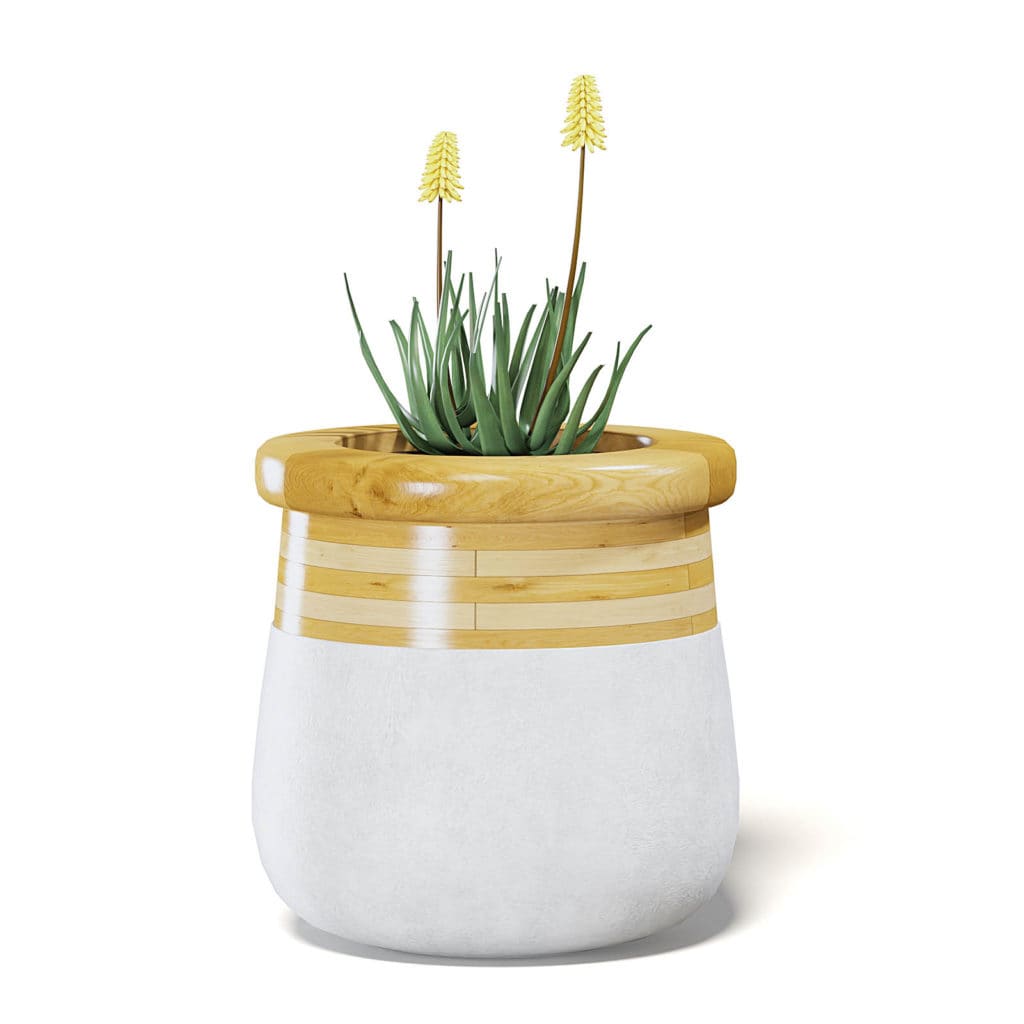 Flowers 3D Model in Large Modern Pot