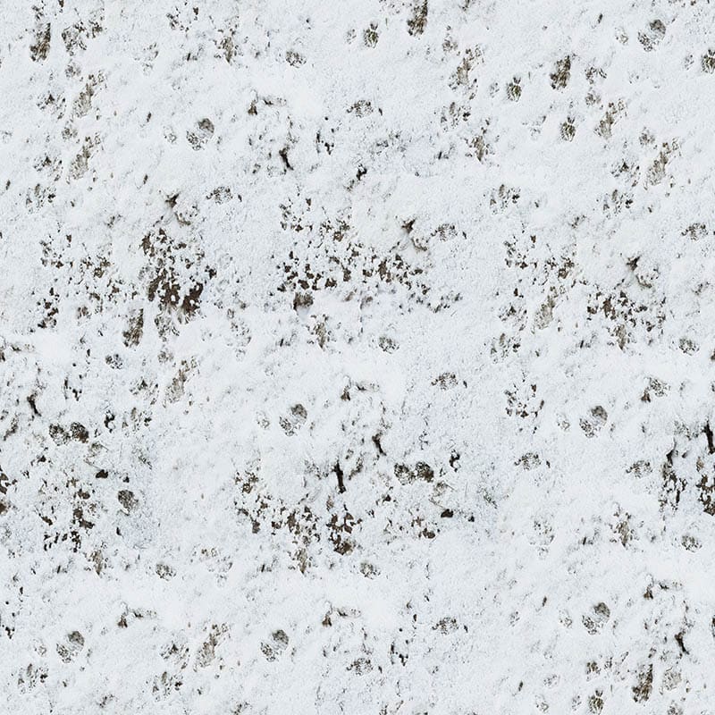 Snow with Animal Tracks PBR Texture