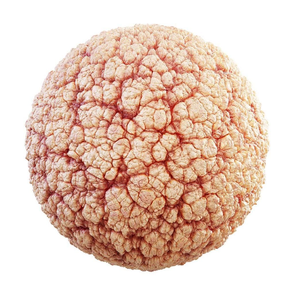 Physical 3 Organic PBR Textures