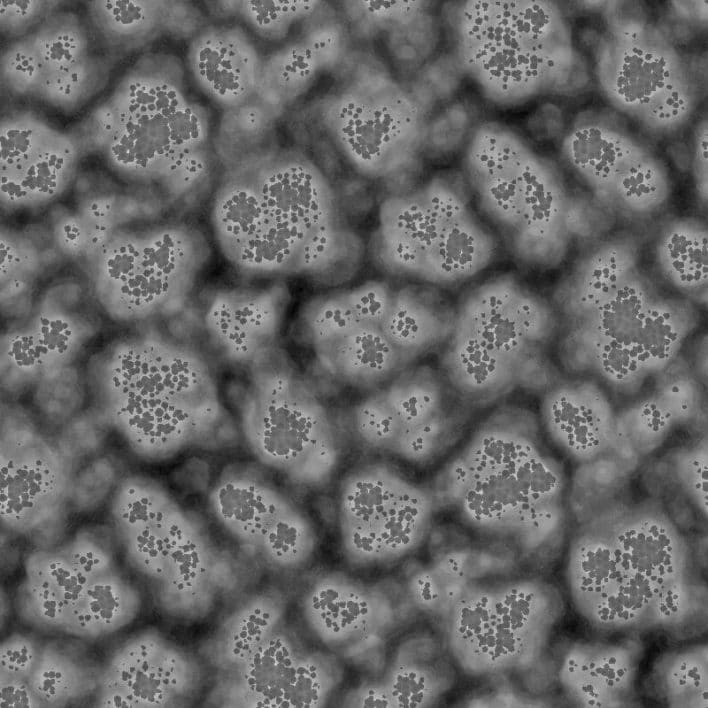 Alien Bones PBR Texture