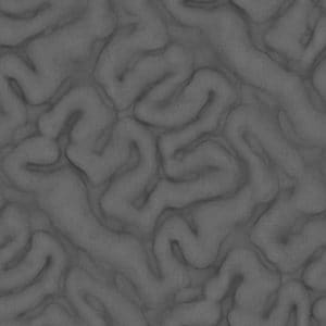 Bloody Guts PBR Texture