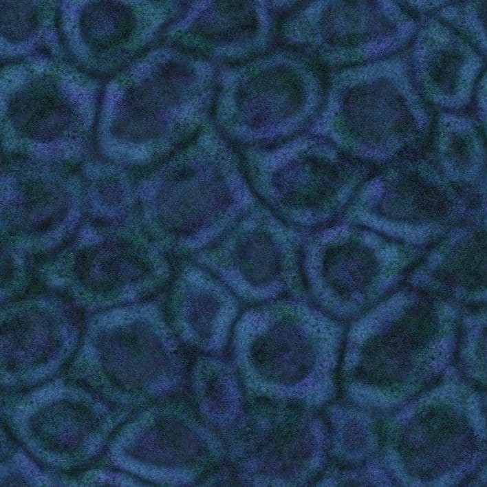 Blue Creature Skin PBR Texture