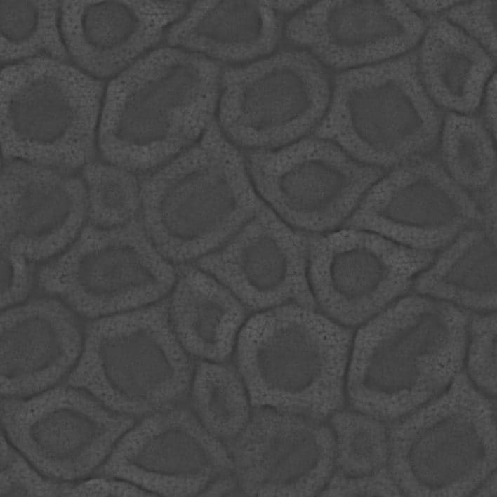 Blue Creature Skin PBR Texture