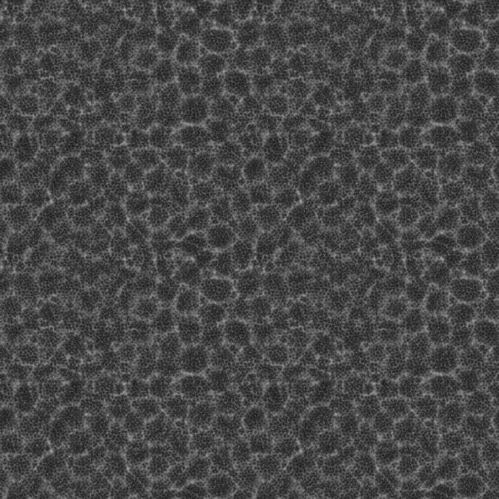 Blue Creature Skin PBR Texture