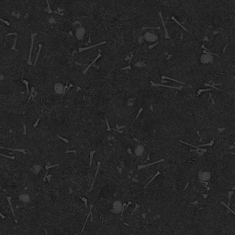 Bones on Desert PBR Texture