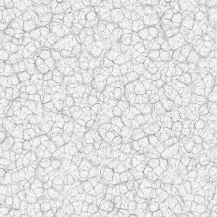 Brain Tissue PBR Texture