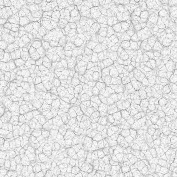 Brain Tissue PBR Texture