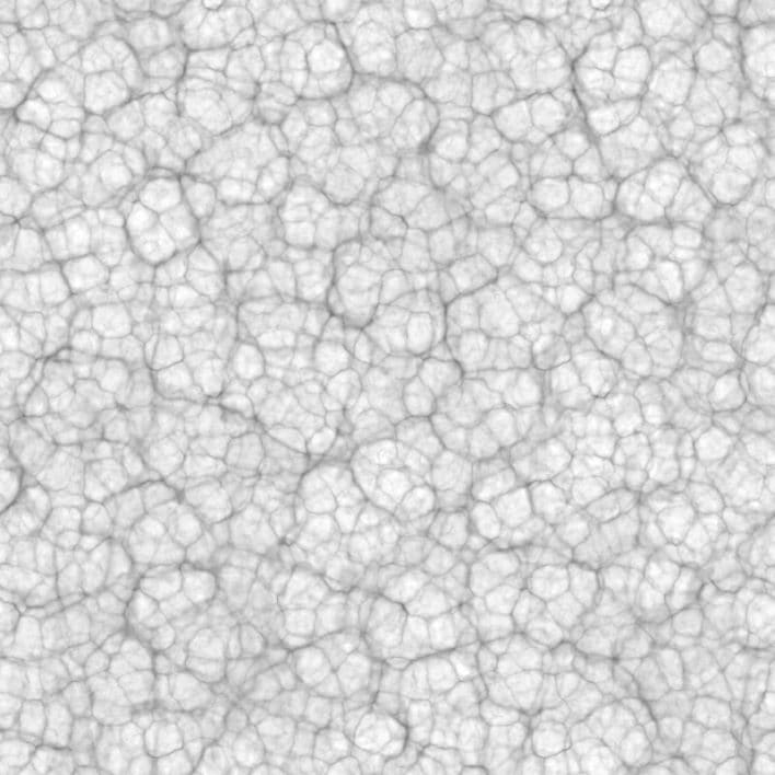 Brain Tissue PBR Texture