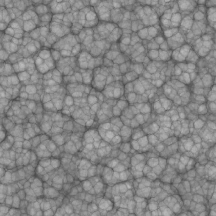 Brain Tissue PBR Texture