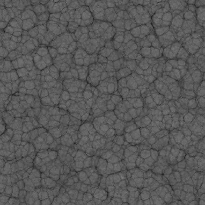 Brain Tissue PBR Texture