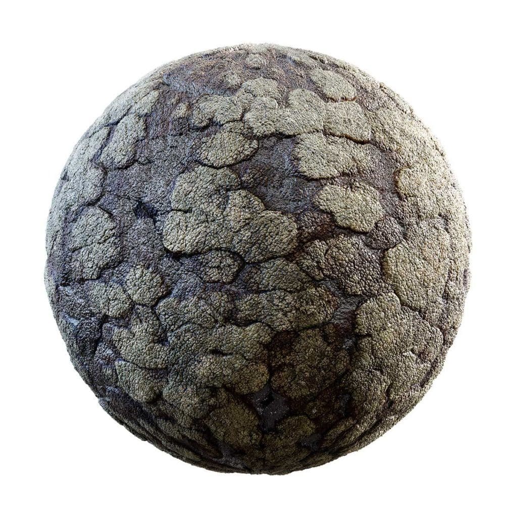 Cracked Green Creature Skin PBR Texture