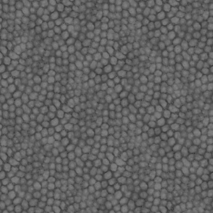 Cyan Creature Skin PBR Texture