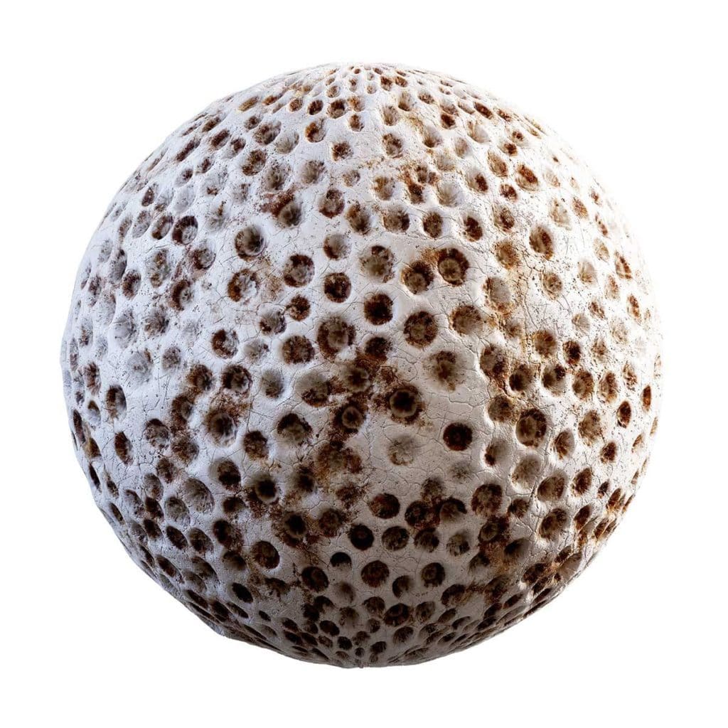Dead Coral PBR Texture