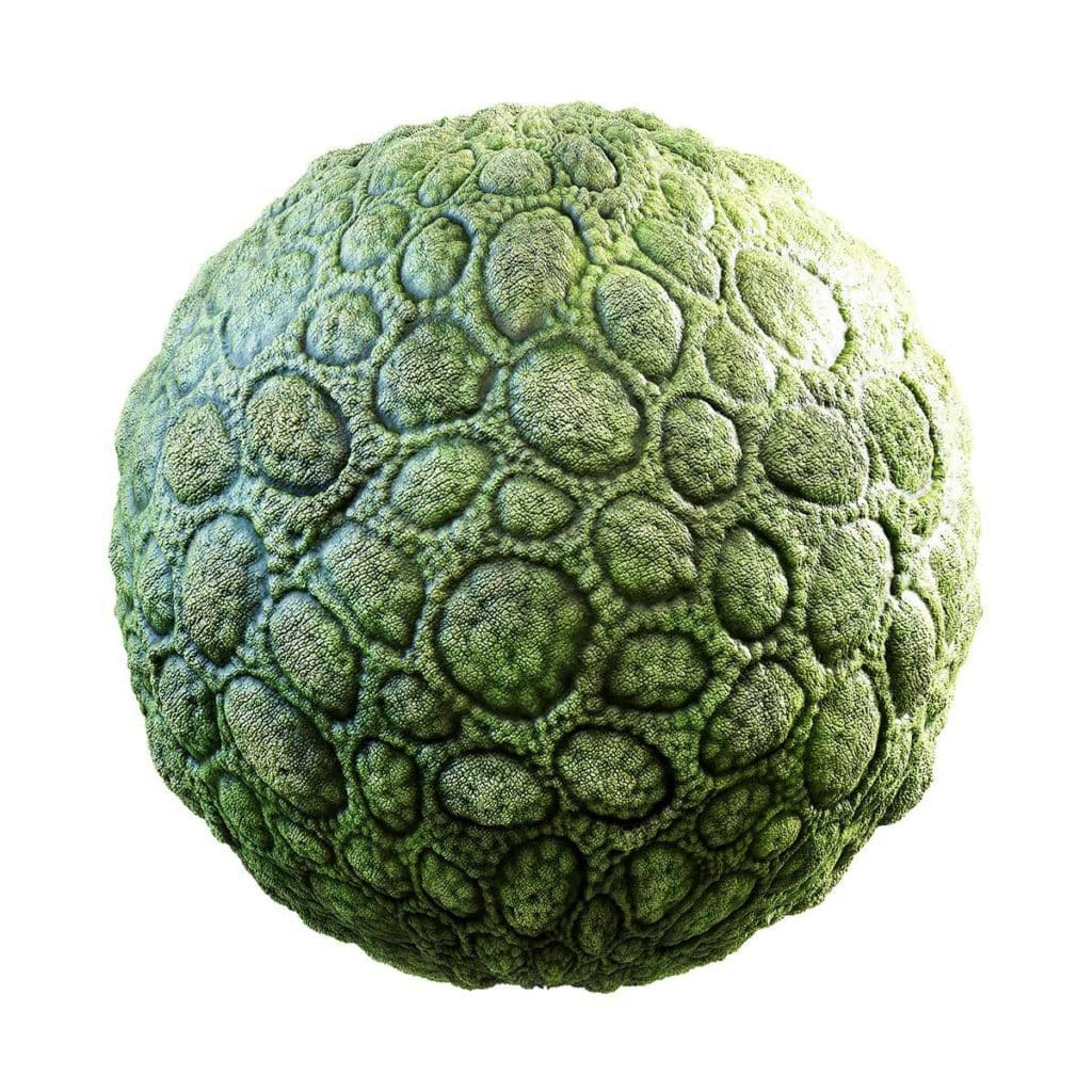 Green Creature Skin PBR Texture