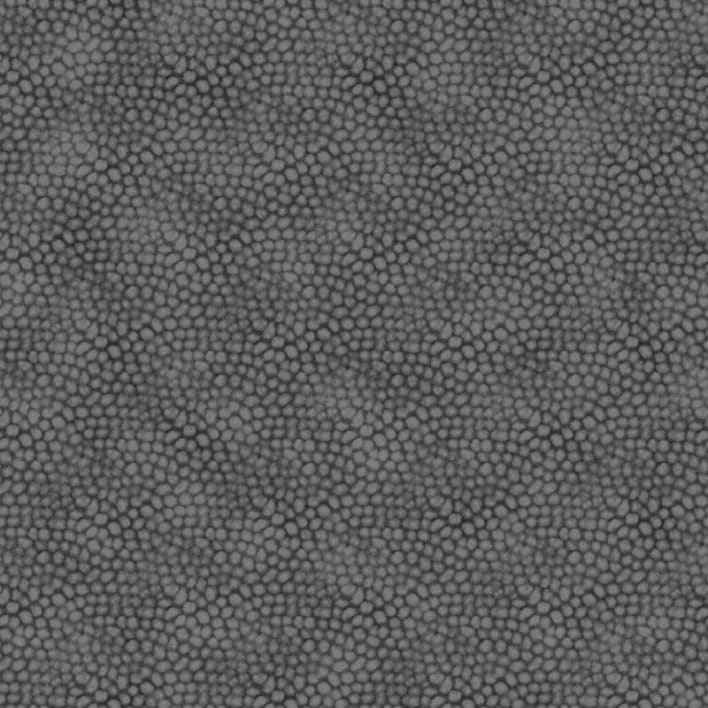 Green Creature Skin PBR Texture