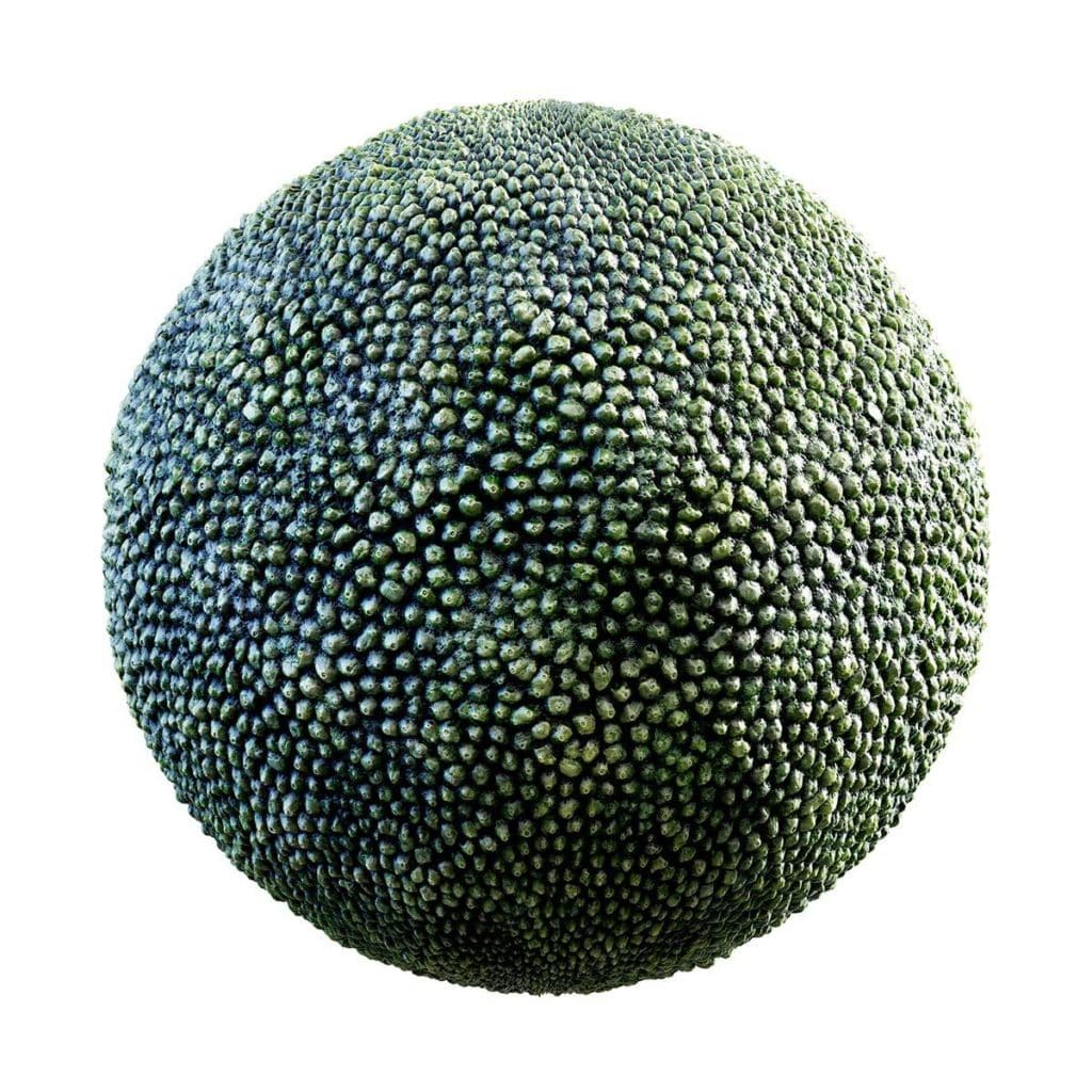 Green Creature Skin PBR Texture