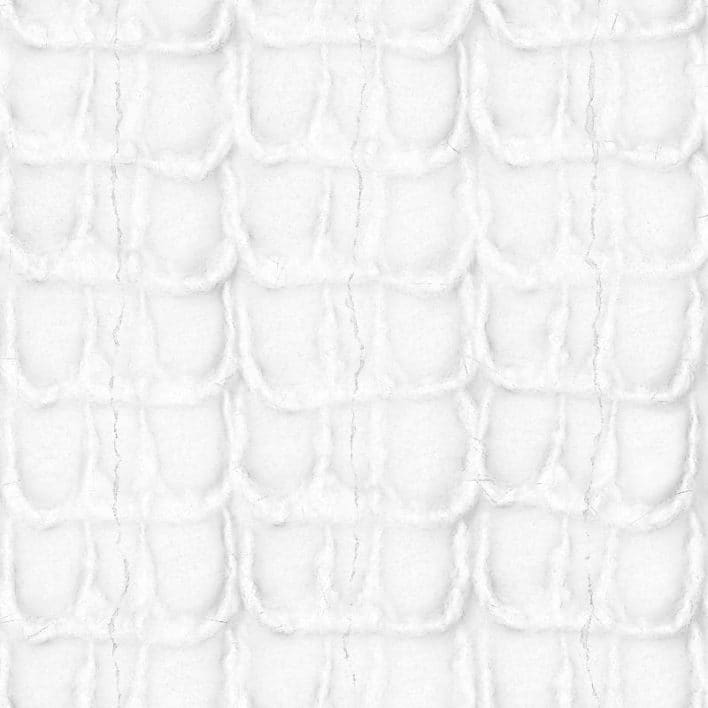 Insect Shell PBR Texture