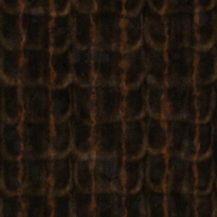 Insect Shell PBR Texture