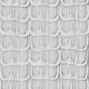 Insect Shell PBR Texture