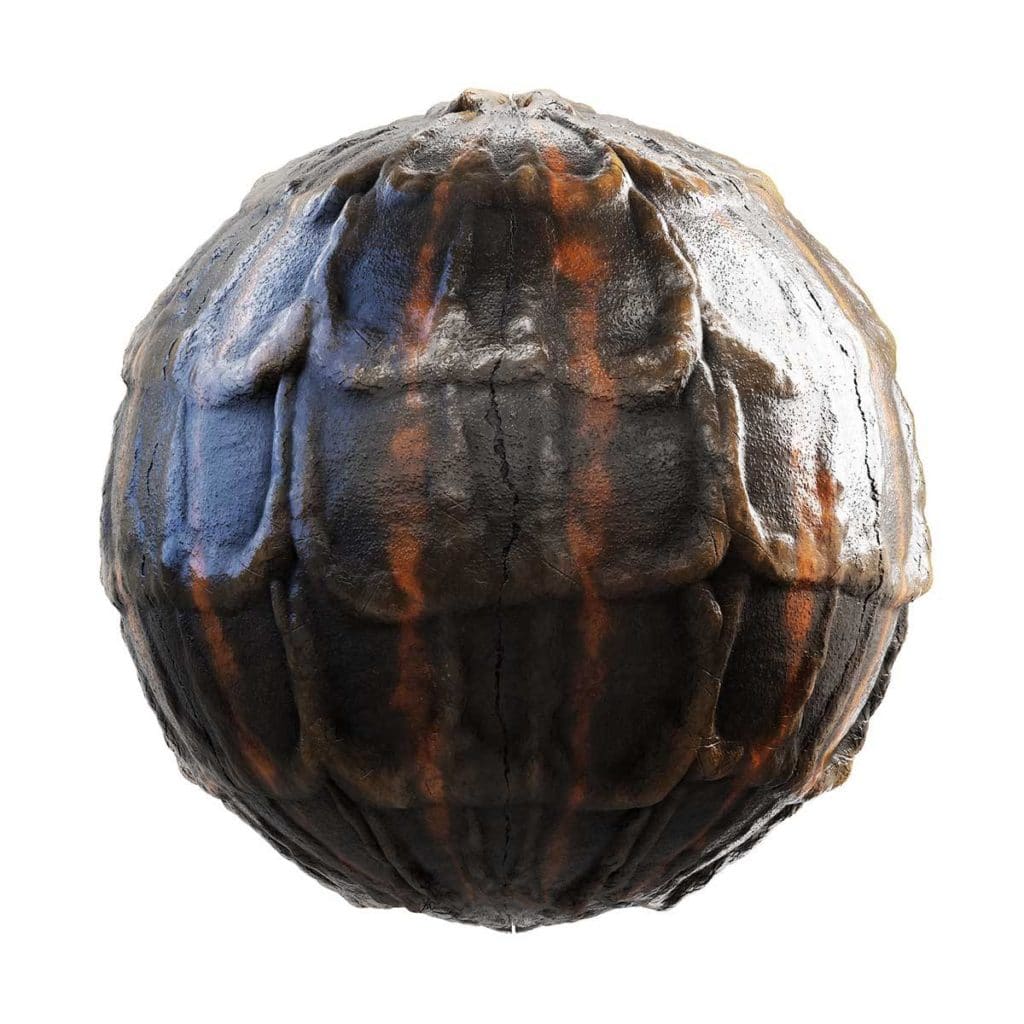 Insect Shell PBR Texture