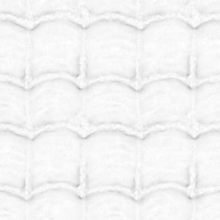 Insect Shell PBR Texture