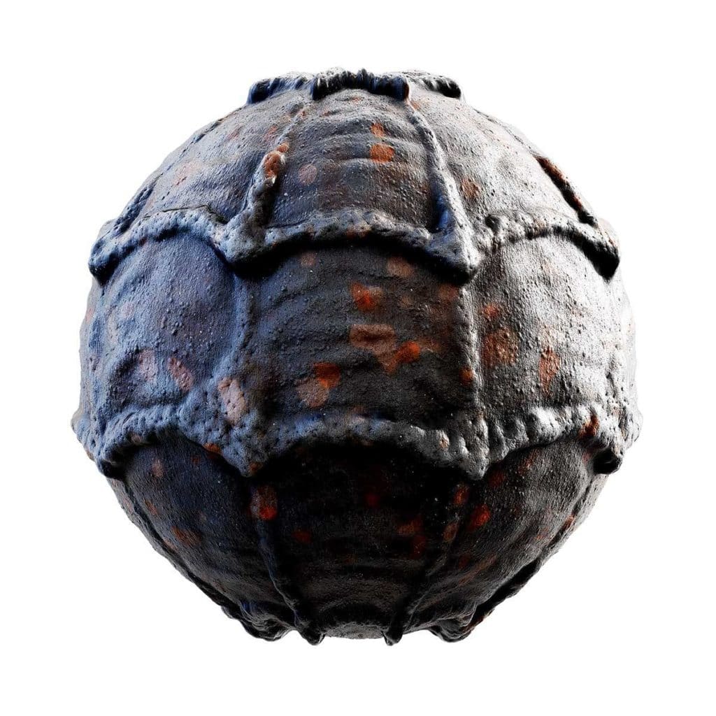 Insect Shell PBR Texture