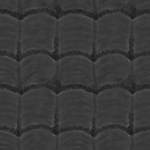 Insect Shell PBR Texture