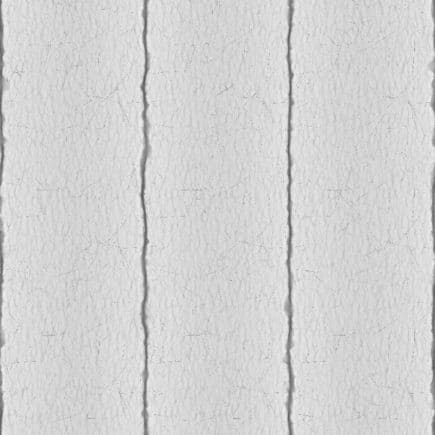 Insect Shell PBR Texture