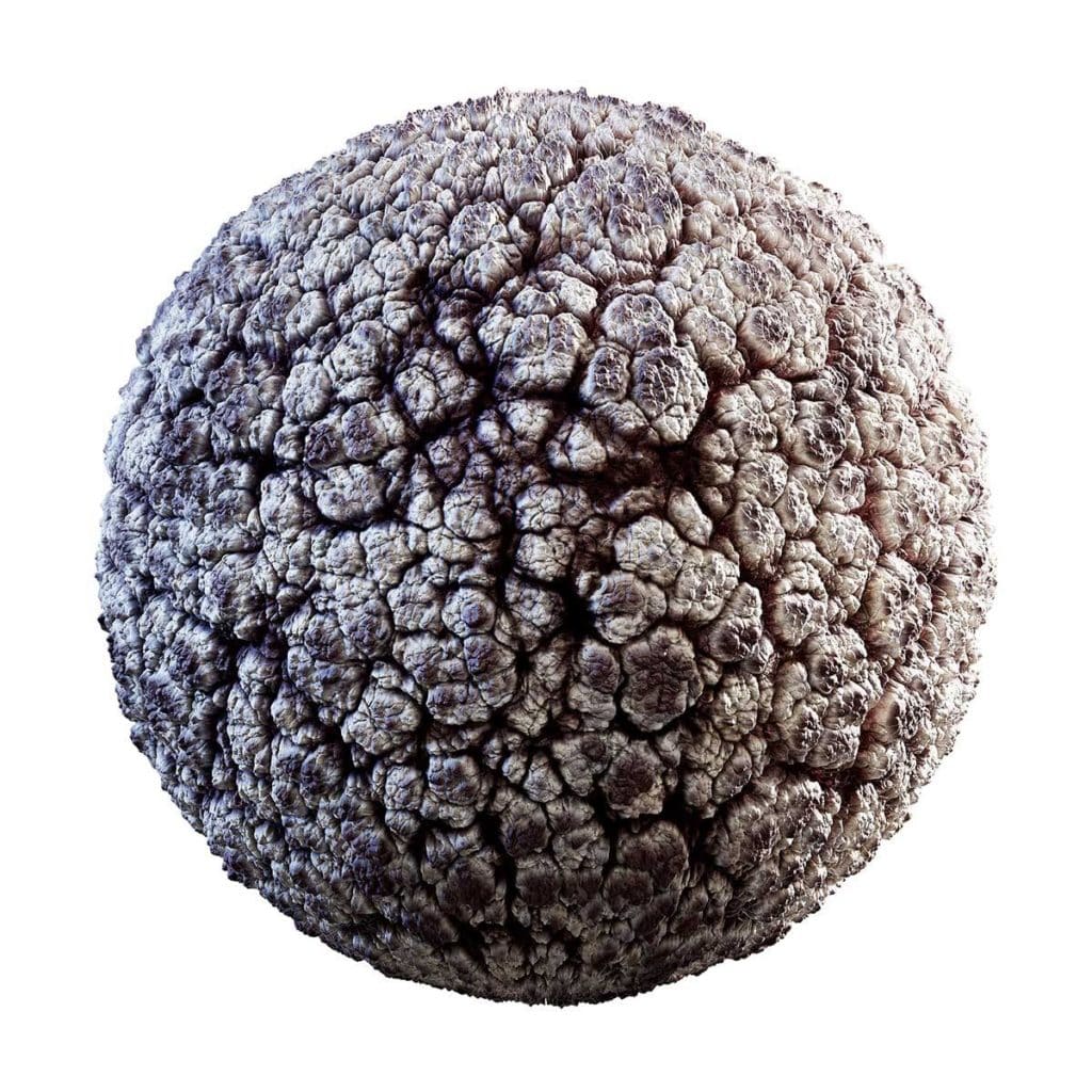 Old Gray Creature Skin PBR Texture