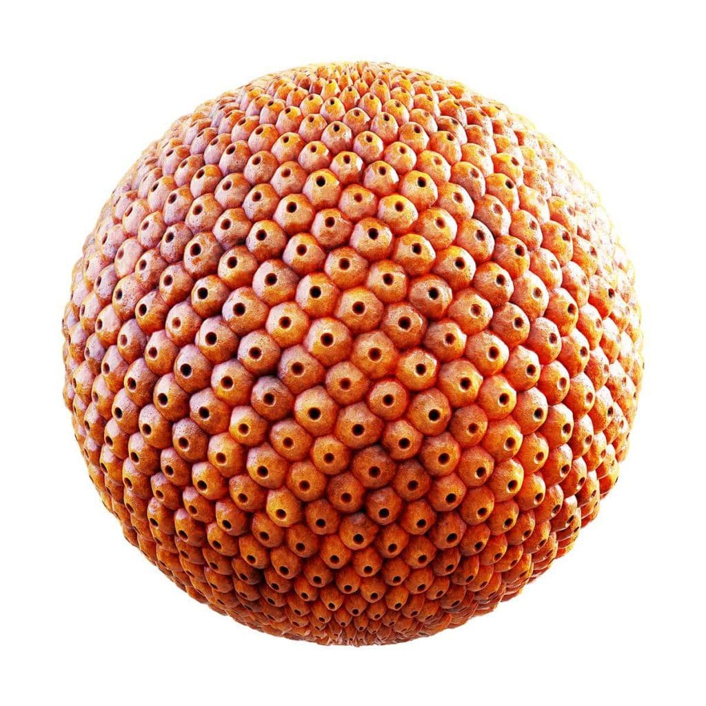 Orange Insect Nest PBR Texture