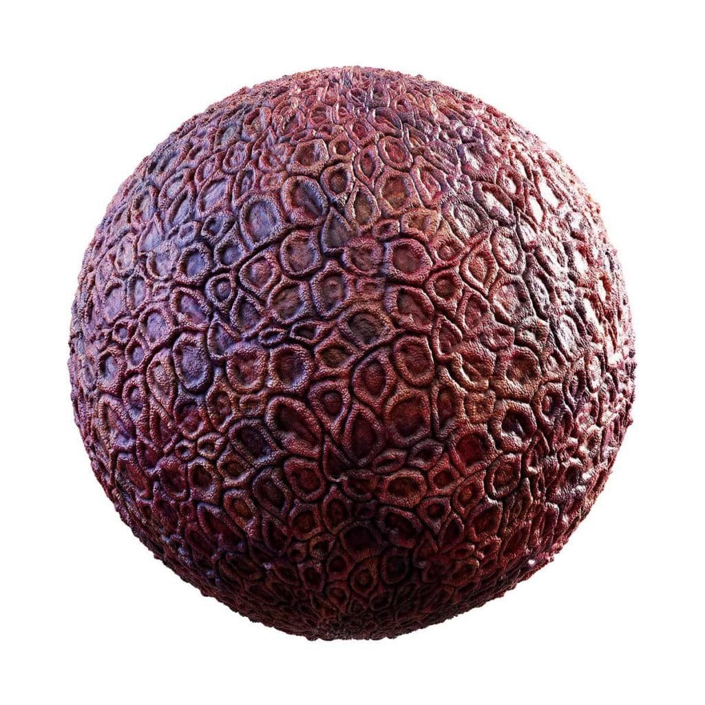 Purple Creature Skin PBR Texture