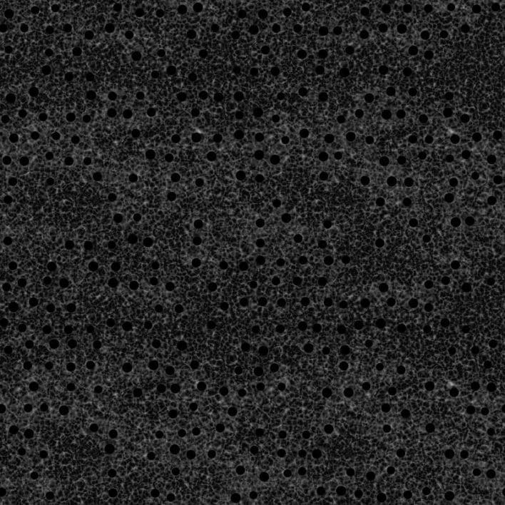 Red Alien Skin PBR Texture