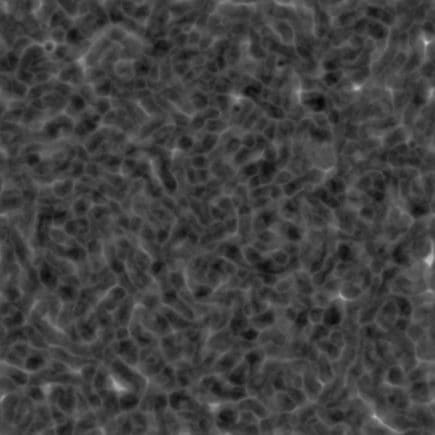 Red Guts PBR Texture