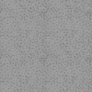 Skin Pores PBR Texture