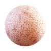 Skin Pores PBR Texture