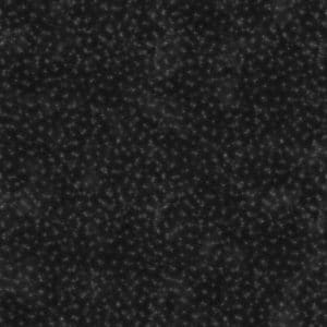 Skin Pores PBR Texture