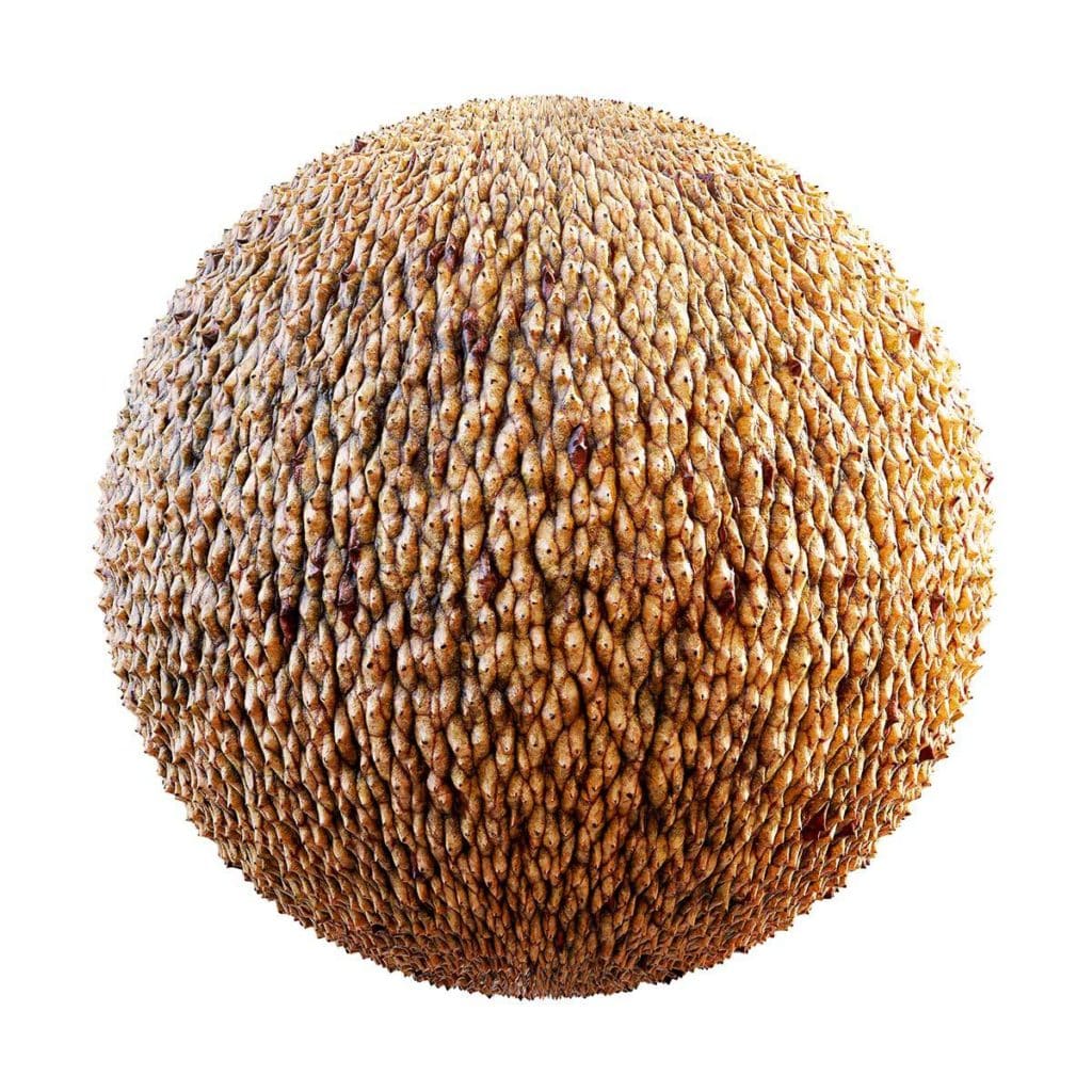 Spiky Orange Creature Skin PBR Texture