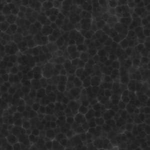 Spiky Red Creature Skin PBR Texture