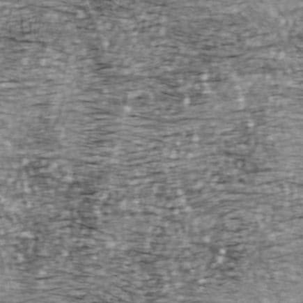 Wrinkled Skin PBR Texture