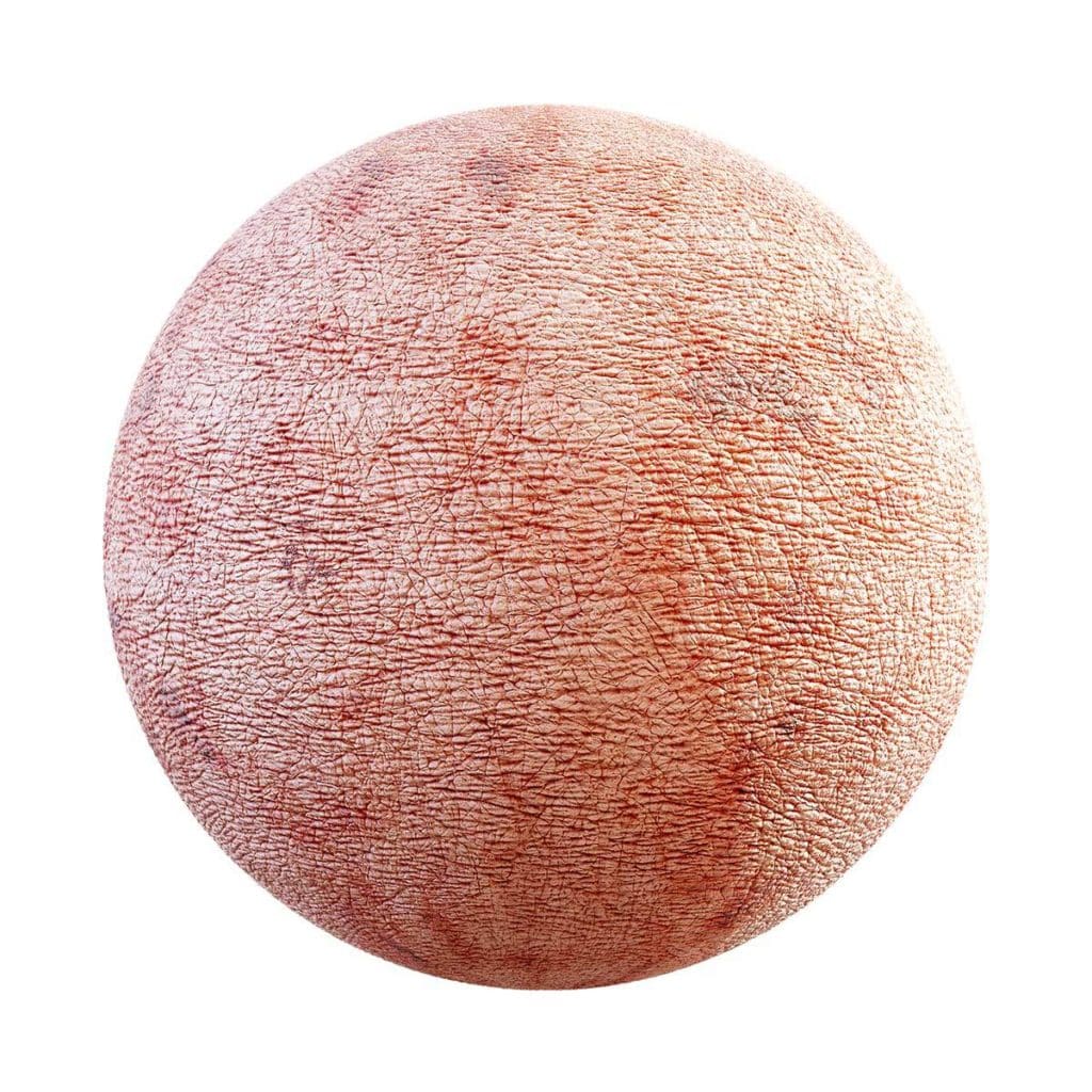 Wrinkled Skin PBR Texture