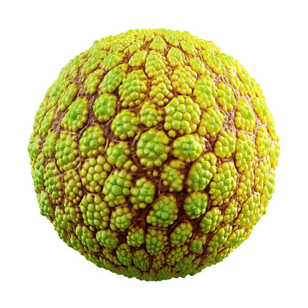 Yellow Creature Skin PBR Texture