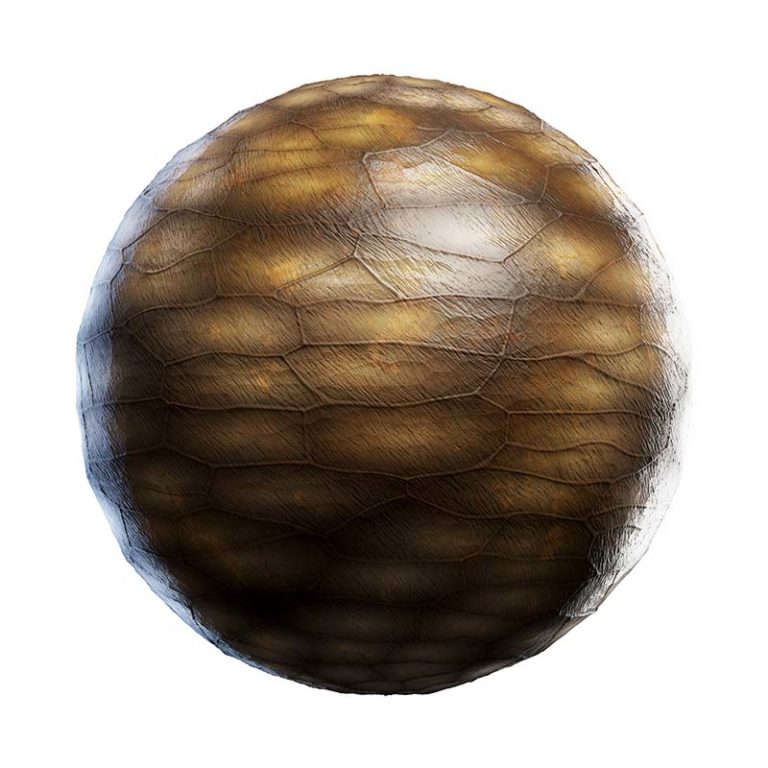 Bat Wing PBR Texture