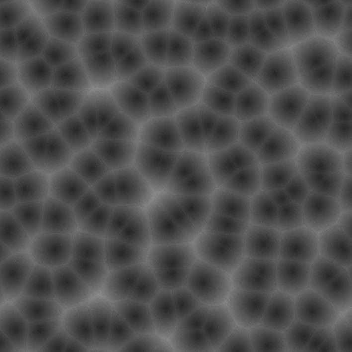 Bat Wing PBR Texture