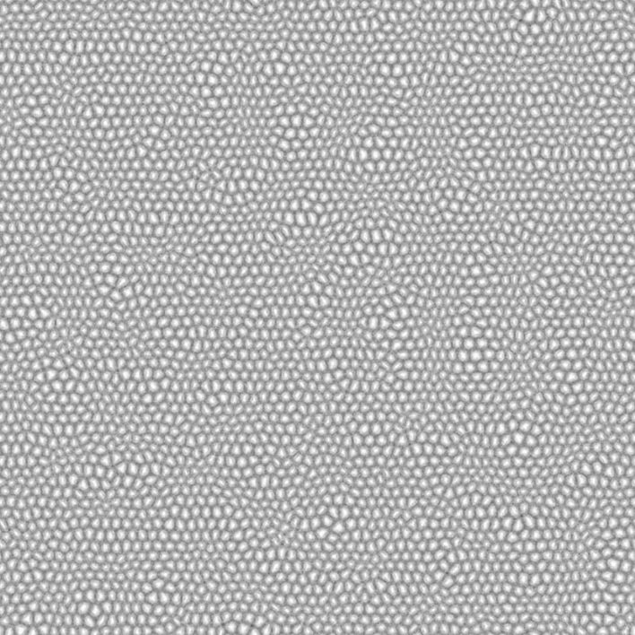 Lizard Skin PBR Texture