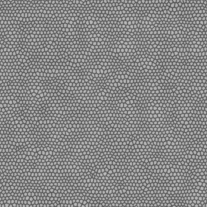 Lizard Skin PBR Texture