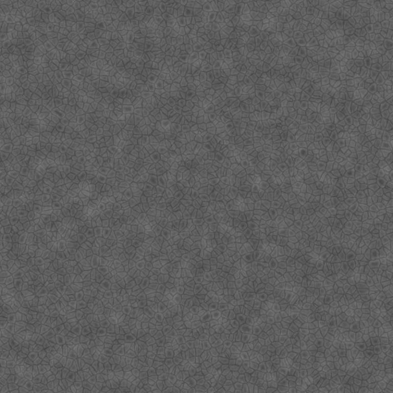 Octopus Skin PBR Texture