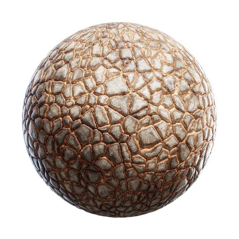 Tortoise Skin PBR Texture